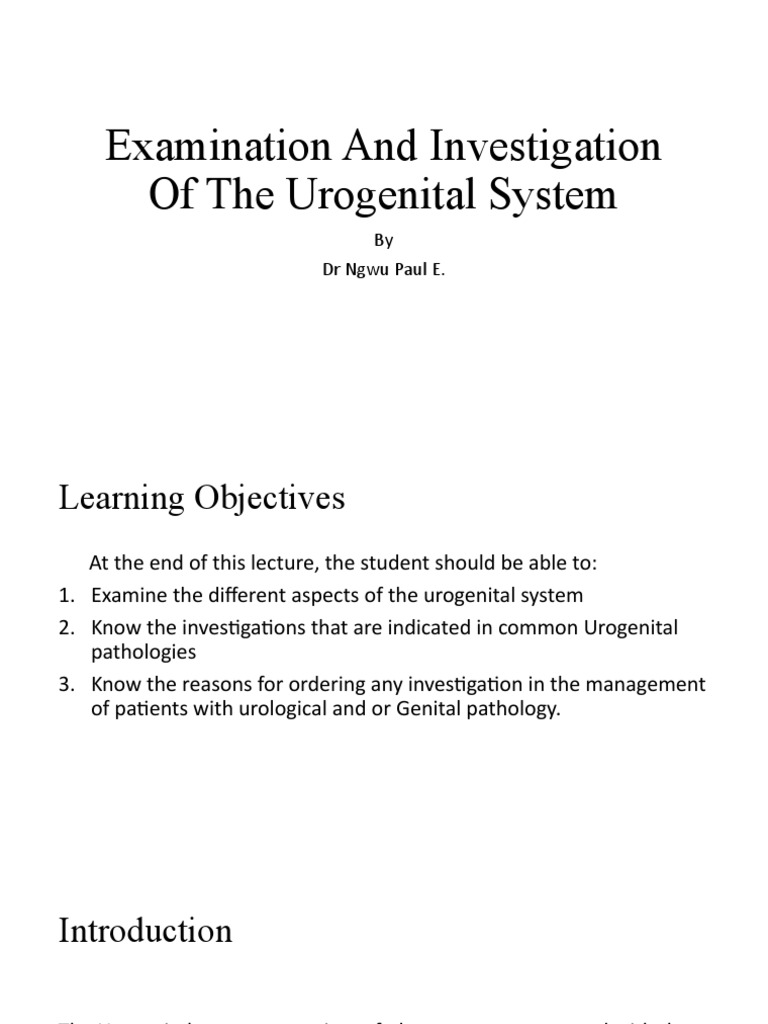 Examination and Investigation of The Urogenital System For GUU | PDF ...