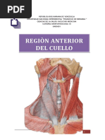 Músculos Constrictor y Rafe Faríngeo | PDF | Cabeza y cuello humanos ...