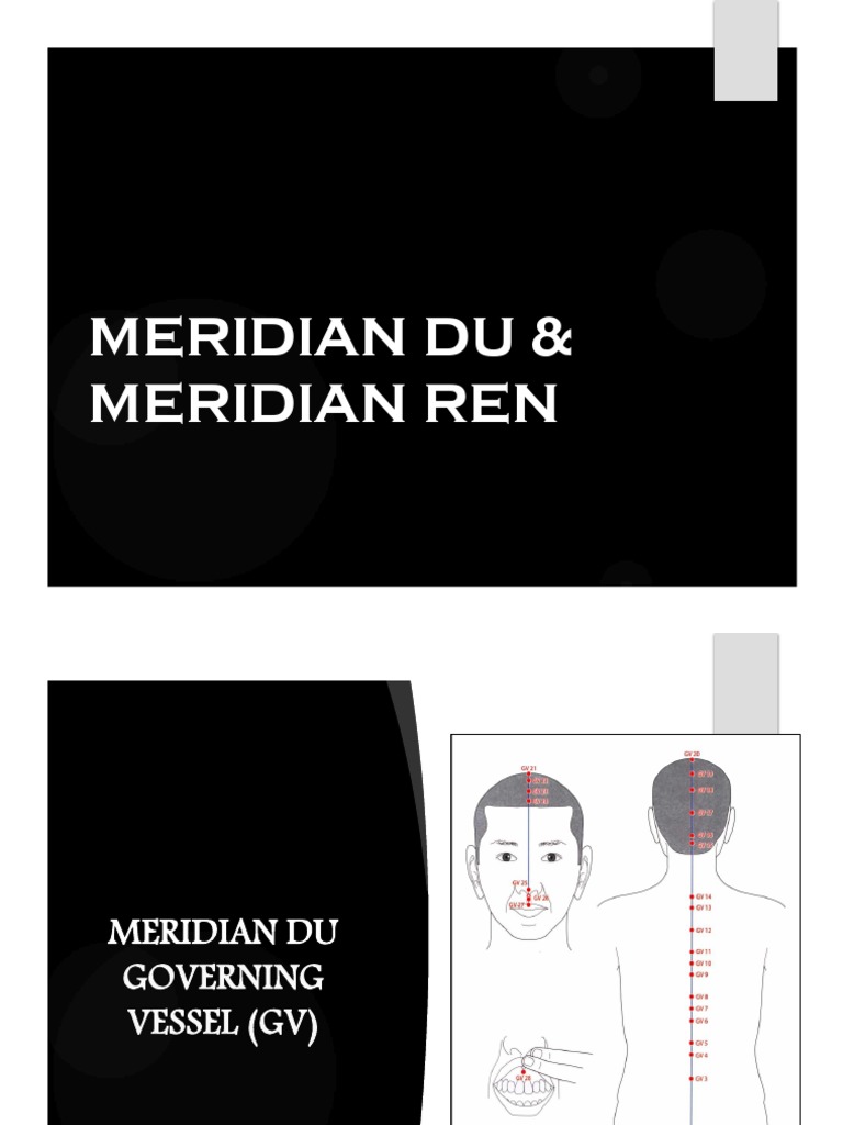 Meridian Du-Ren | PDF