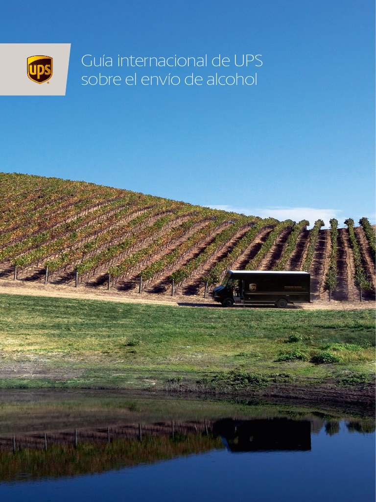 International Alcohol Shipping Guide | PDF | Vino | Impuestos