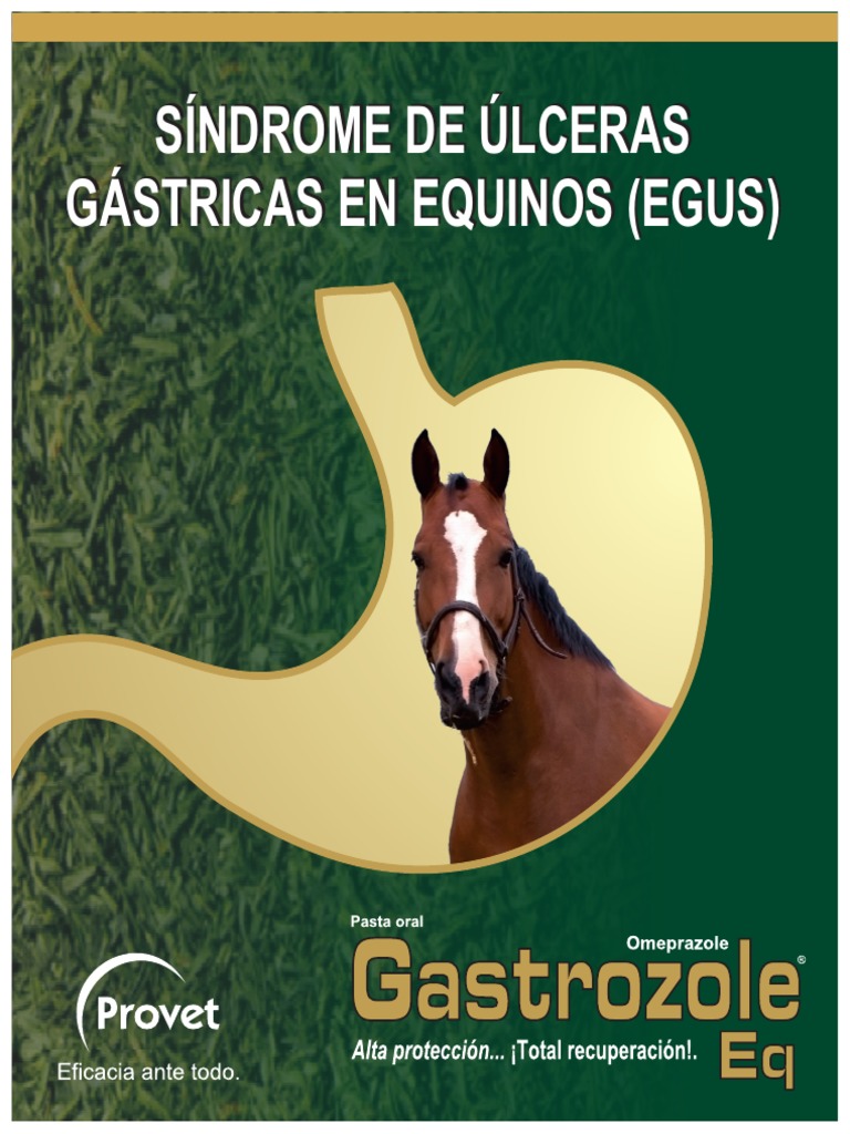 Monografias Gastrozole | PDF | Estómago | Digestión