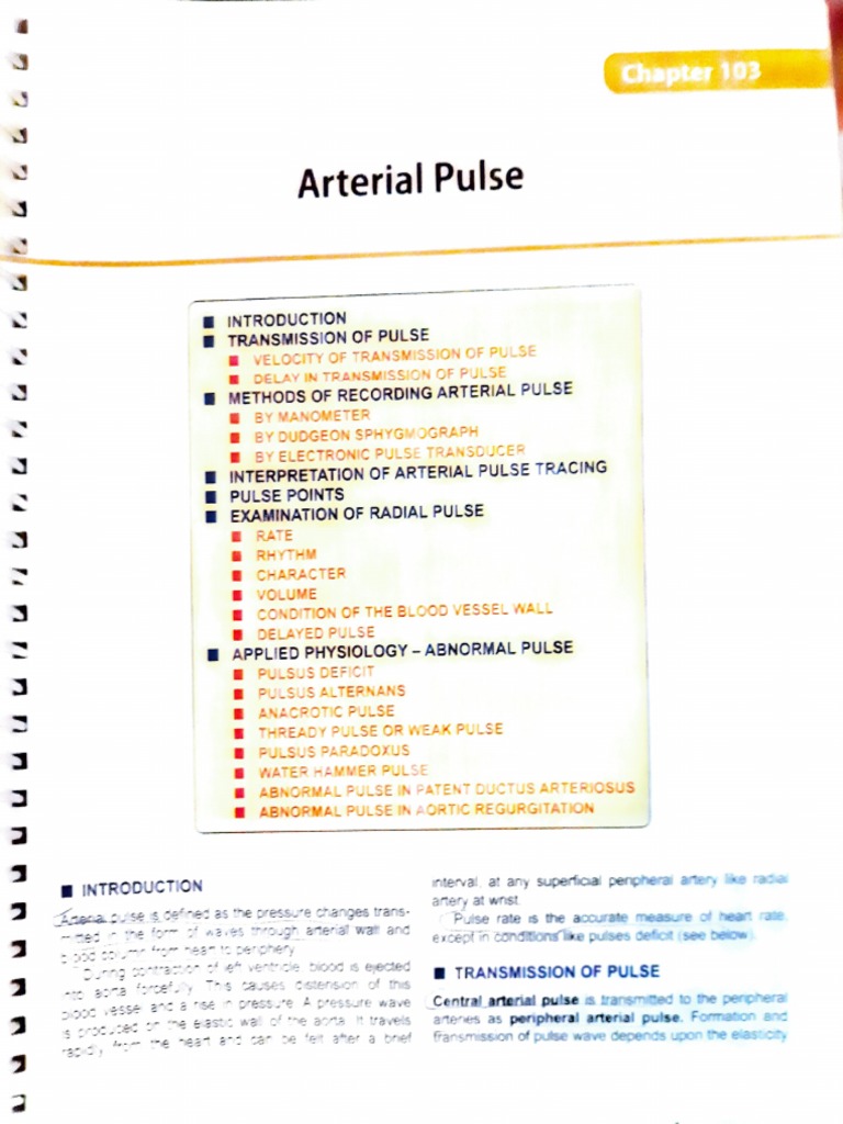 Understanding the Transmission and Interpretation of the Arterial Pulse ...