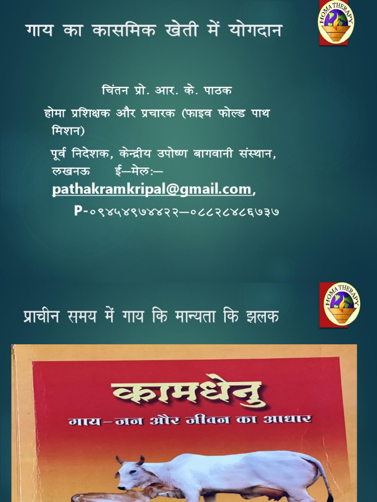 Life Information | PDF