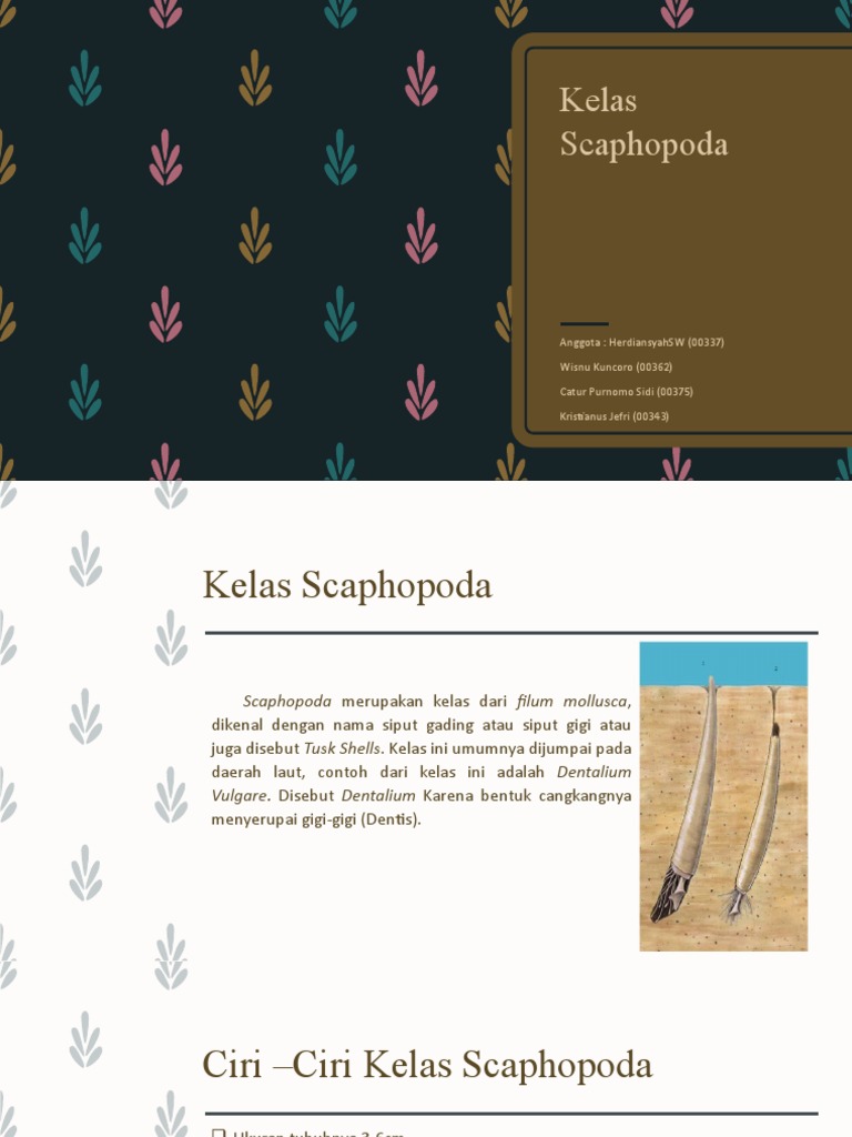 Ciri dan Habitat Kelas Scaphopoda | PDF