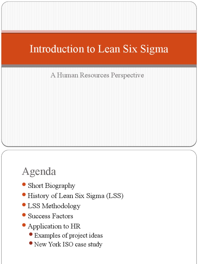 Introduction To Lean Six Sigma | PDF | Six Sigma | Business