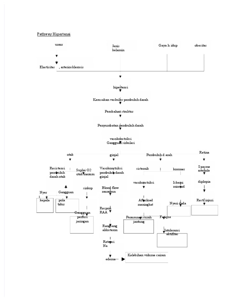 Pdf-Pathway-Hipertensi Sdki | PDF