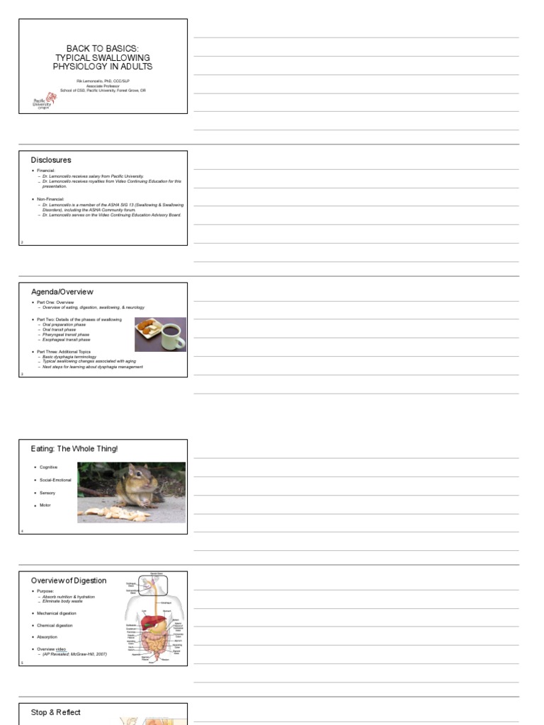 Typical Swallowing Handouts | PDF | Human Head And Neck | Brainstem