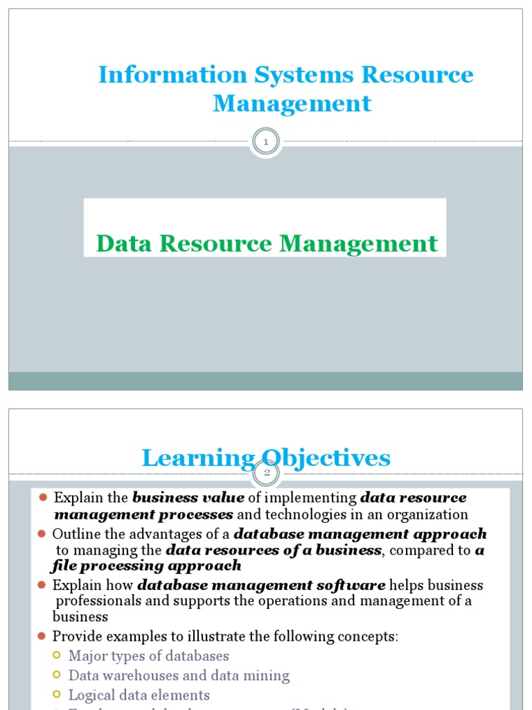 Lecture 3 Data Resource Management | PDF | Databases | Relational Database