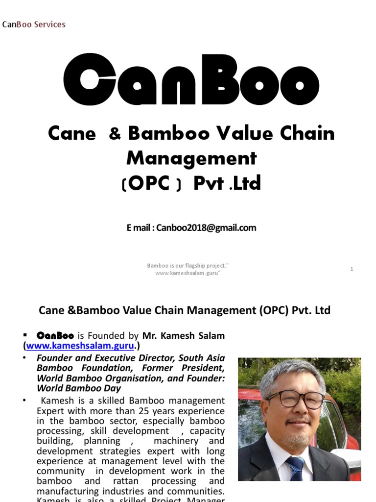CanBoo by Kamesh Salam | PDF | Value Chain | Economies