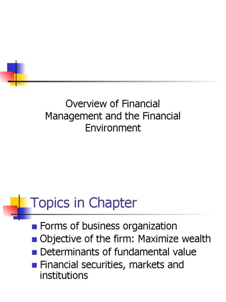 Overview of Financial Management and The Financial Environment | PDF ...