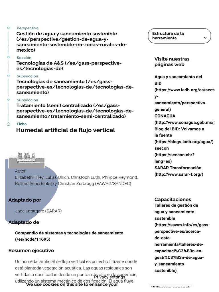 Humedal Artificial de Flujo Vertical - SSWM - Find Tools For ...