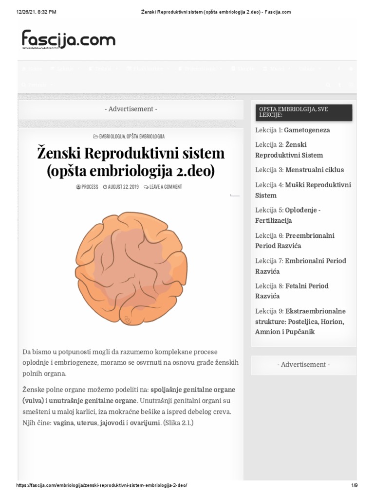 Ženski Reproduktivni Sistem (Opšta Embriologija 2.deo) | PDF