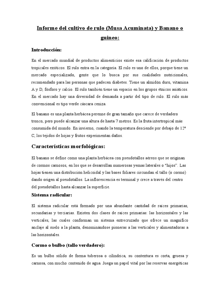 Banana y Rulo | Descargar gratis PDF | Botánica | Plantas
