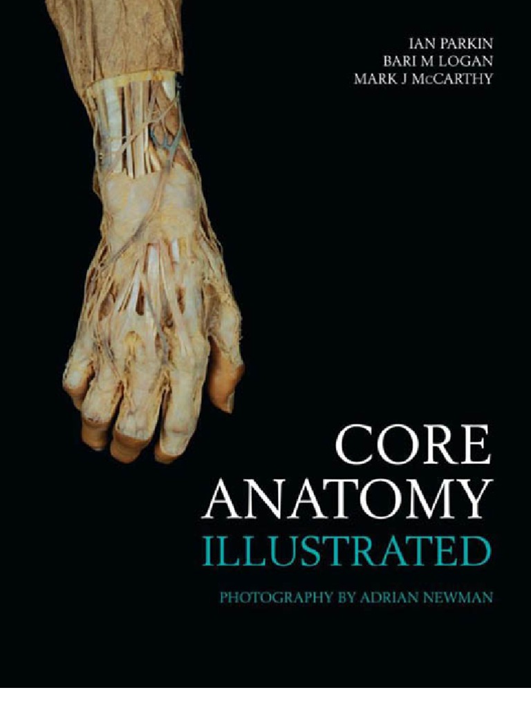 Core Anatomy Illustrated Overview | PDF | Anatomical Terms Of Motion ...