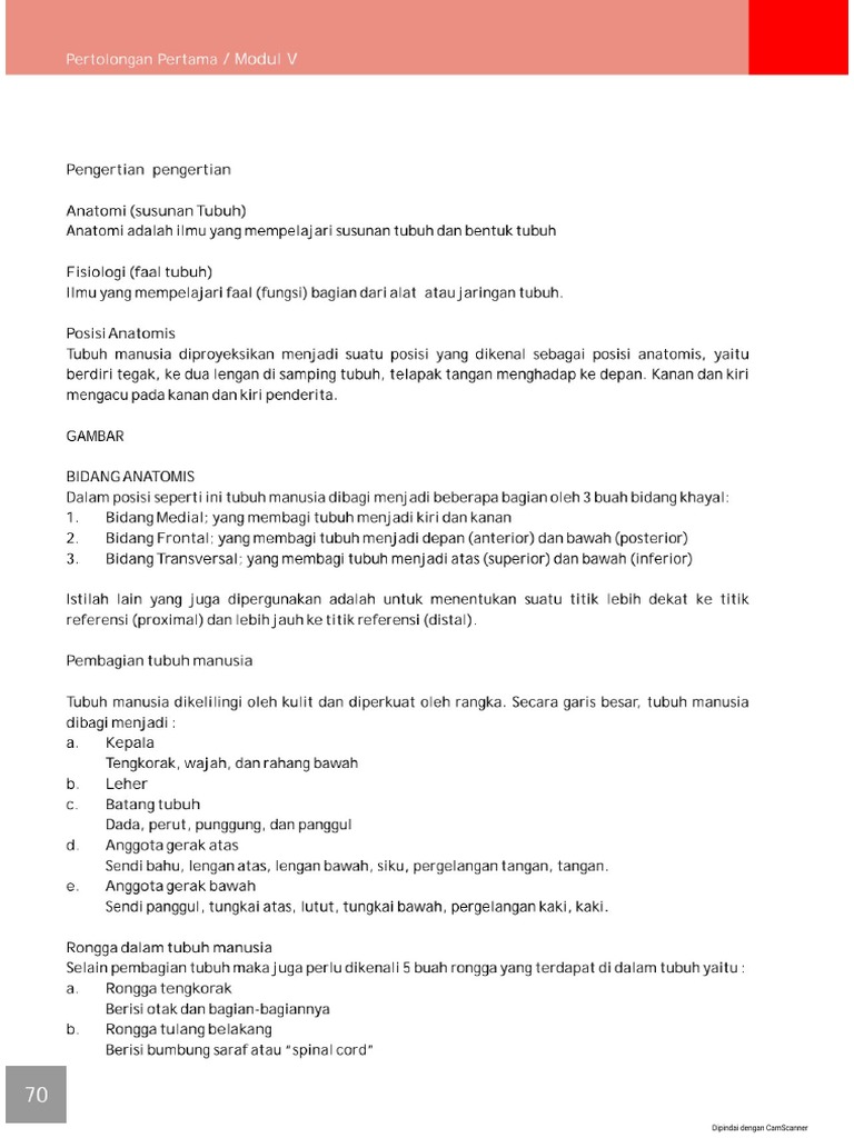 Materi Anatomi Dan Faal KSR | PDF