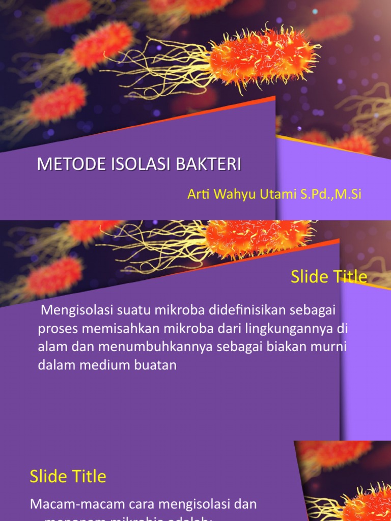 Metode Isolasi Bakteri | PDF