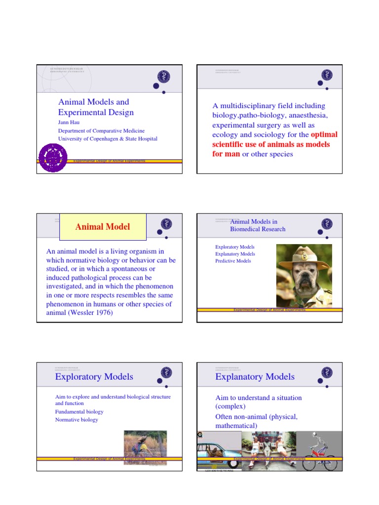 Animal Models and Experimental Design | PDF | Model Organism | Experiment