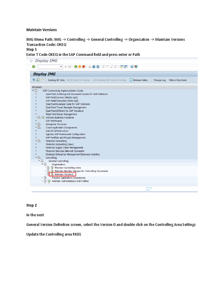 Maintain Versions | PDF