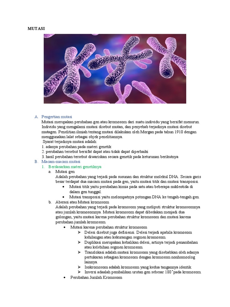 12 IPA 1 (Kelompok 8) Bab MUTASI | PDF
