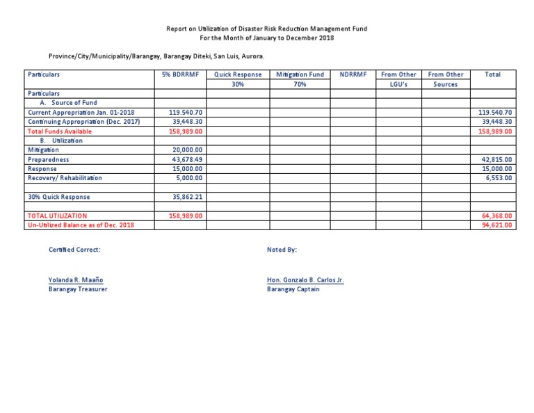 Utilization bdrrm-2018 | PDF