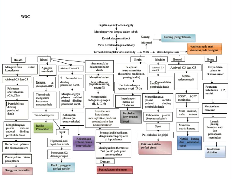 PDF Woc DHF PDF - Compress | PDF