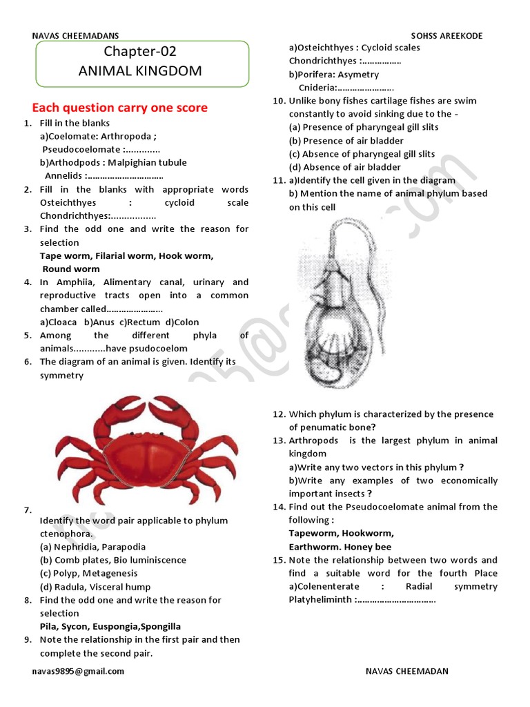 Zoology Quiz for Students | PDF | Invertebrate | Zoology