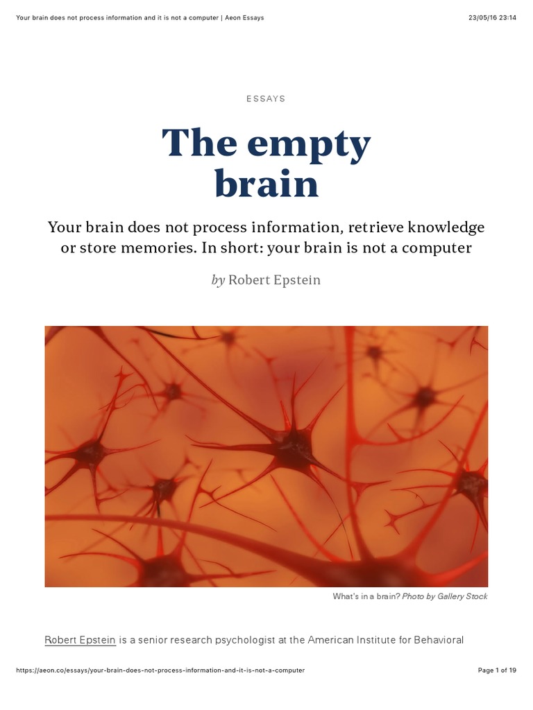 Your Brain Does Not Process Information and It Is Not A Computer Aeon ...