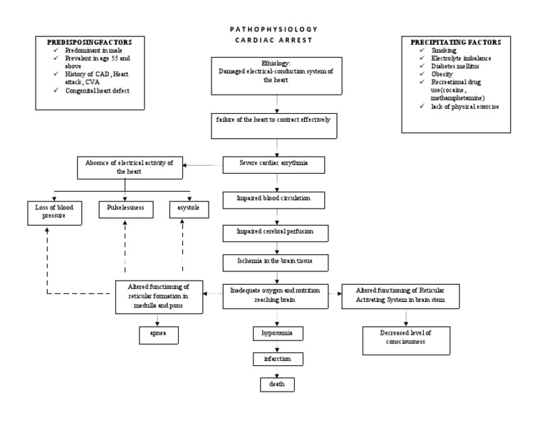 Pathophysiology Cardiac Arrest | Cardiac Arrest | Heart