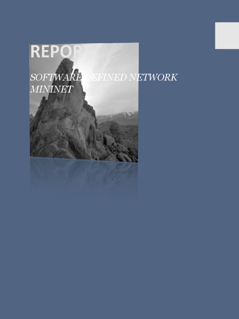Software Defined Network Mininet Pdf Computer Network