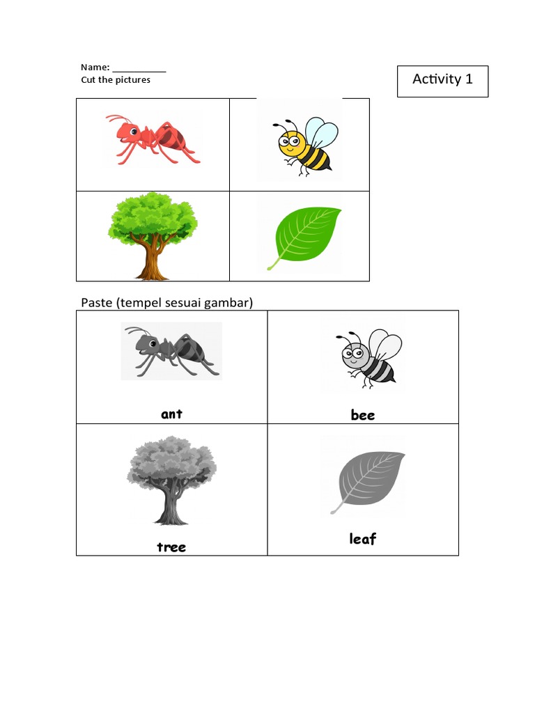 Worksheet TKA 1 | PDF