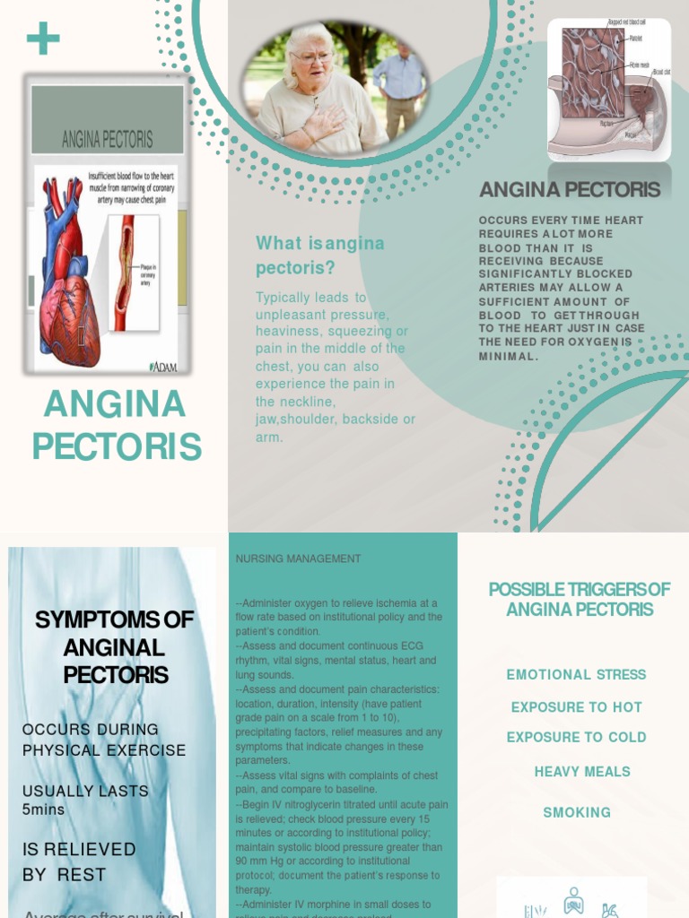 Angina Pectoris PDF New | PDF | Cardiovascular System | Physiology
