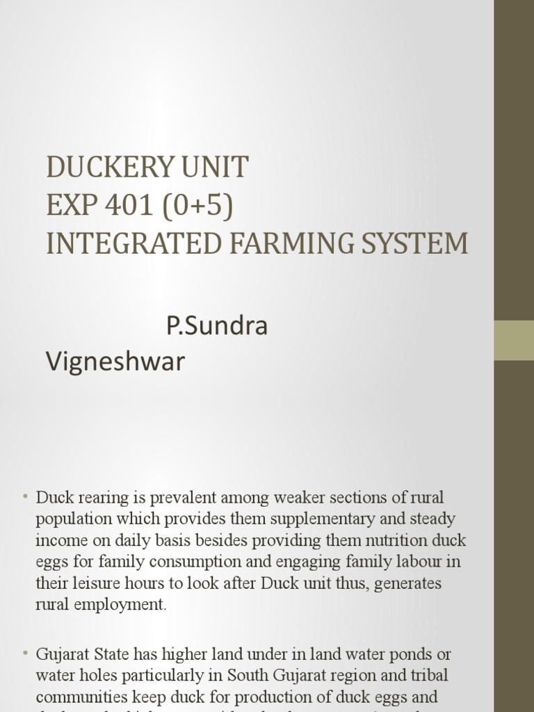 Duckery Unit | PDF | Pond | Agriculture
