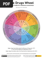 The Drugs Wheel: Substance Awareness Guide | PDF | Functional Group ...