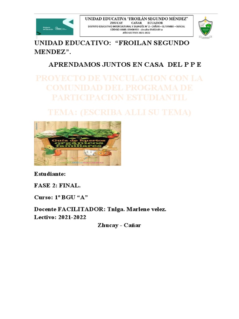 Esquema Del Proyecto de Vinculacion Ppe | PDF