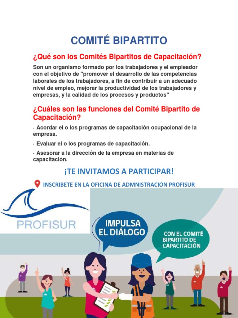 Comité Bipartito | PDF