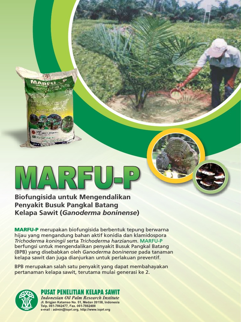 Marfu Brosur 2021-Revisi | PDF