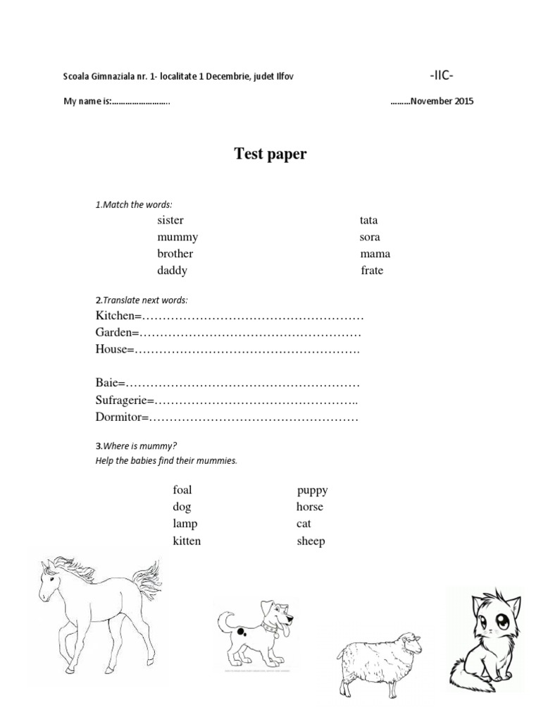 Test Paper II C | PDF