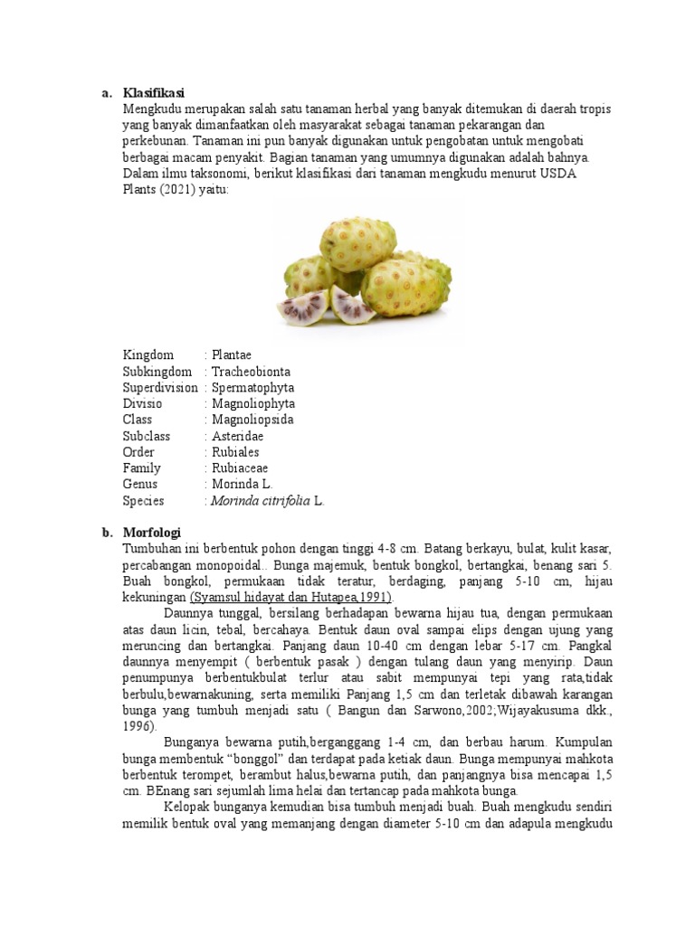 Klasifikasi | PDF | Griya & Taman | Kesehatan Holistik