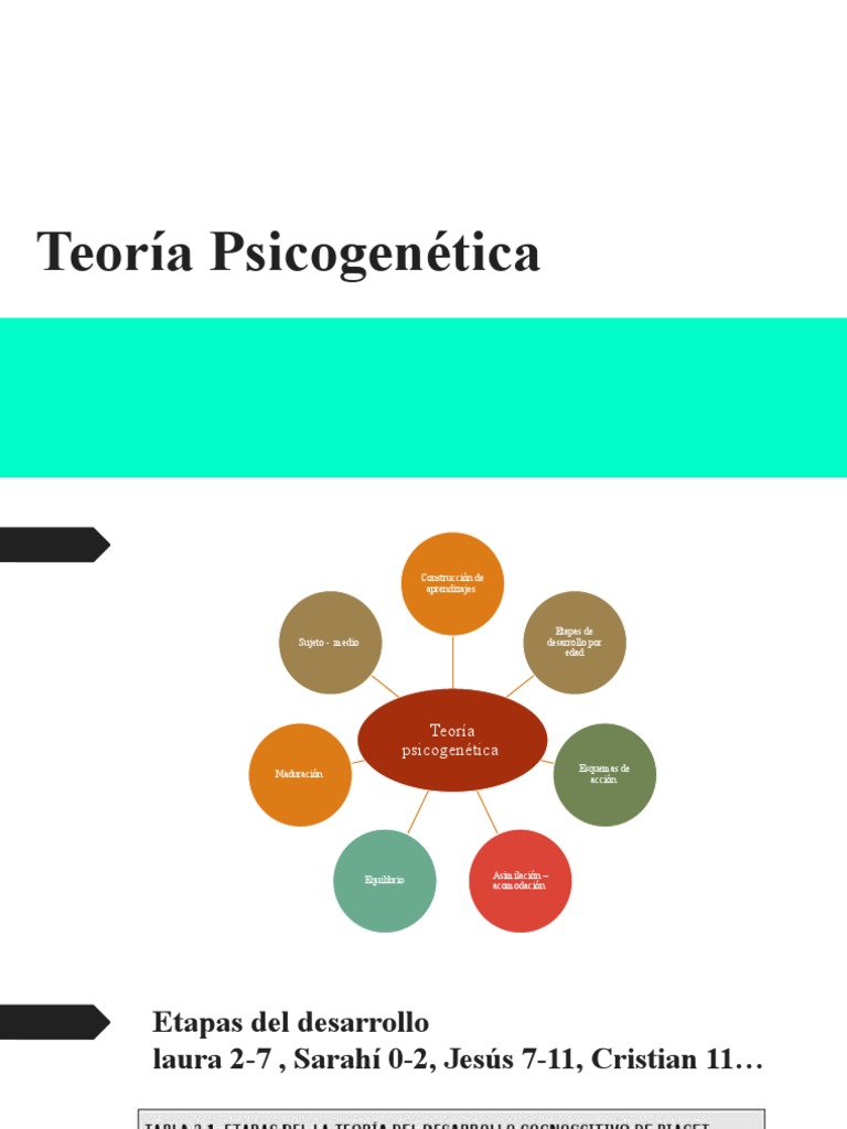Teoría Psicogenética | PDF | Cognición | Aprendizaje