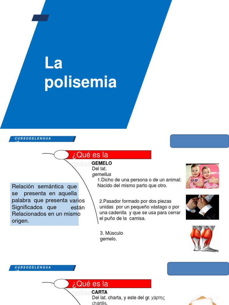 Polisemia y Homonimia: Guía Rápida | PDF | Palabra | Morfología Lingüística