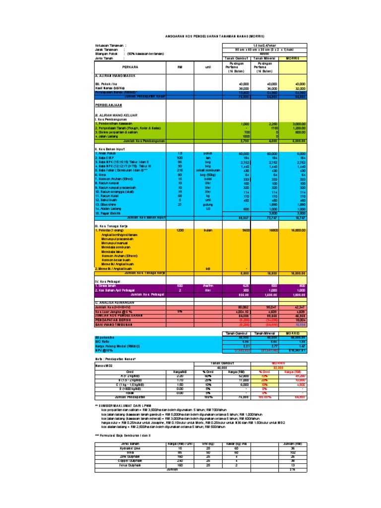 Costing Md2 & Morris Pineapple | PDF