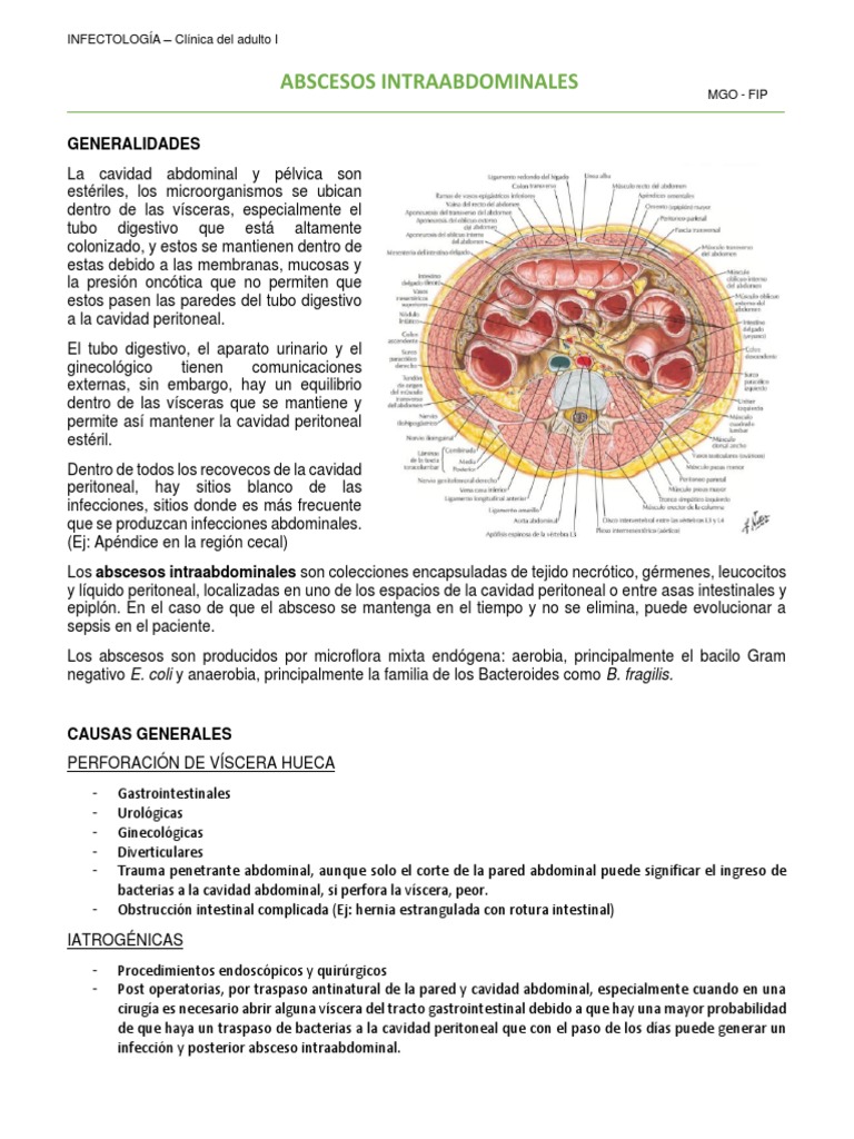 Abscesos Intraabdominales | PDF | Abdomen | Enfermedades y trastornos