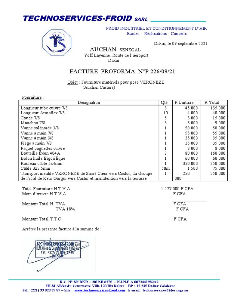 Facture Prof 226 Auchan CASTORS | PDF