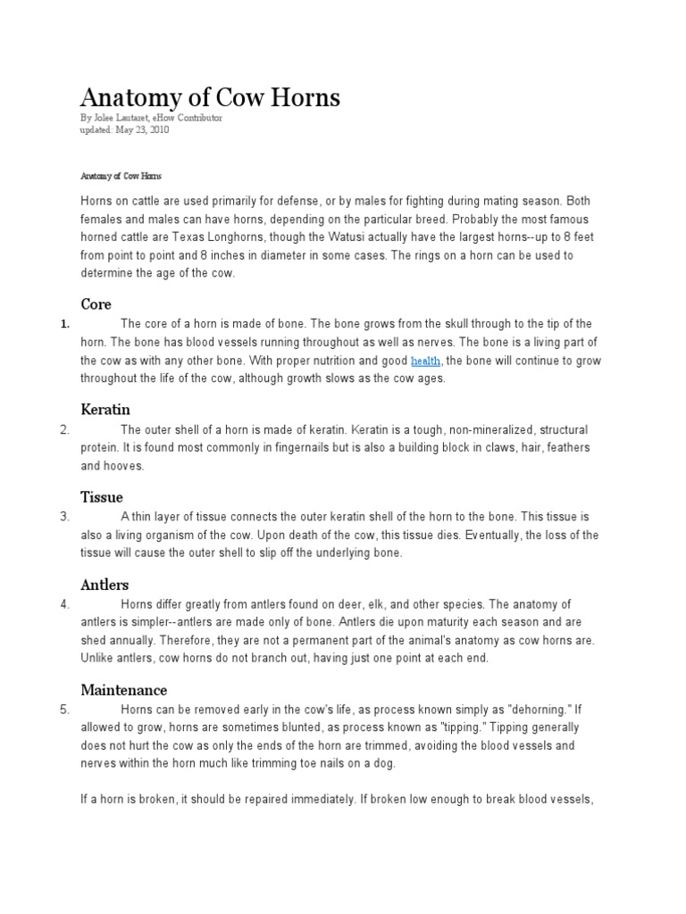 Anatomy of Cow Horns | PDF | Cattle | Bone