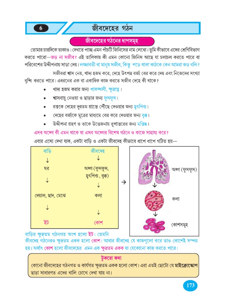 West Bengal Class 8 Poribesh O Bigyan Textbook Bengali Topics 6 11 | PDF