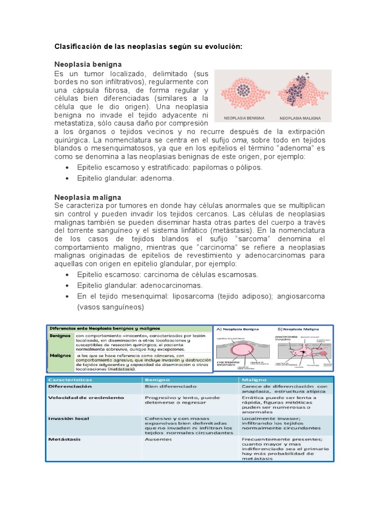 Clasificación de las neoplasias: distinguiendo entre tumores benignos y malignos | PDF