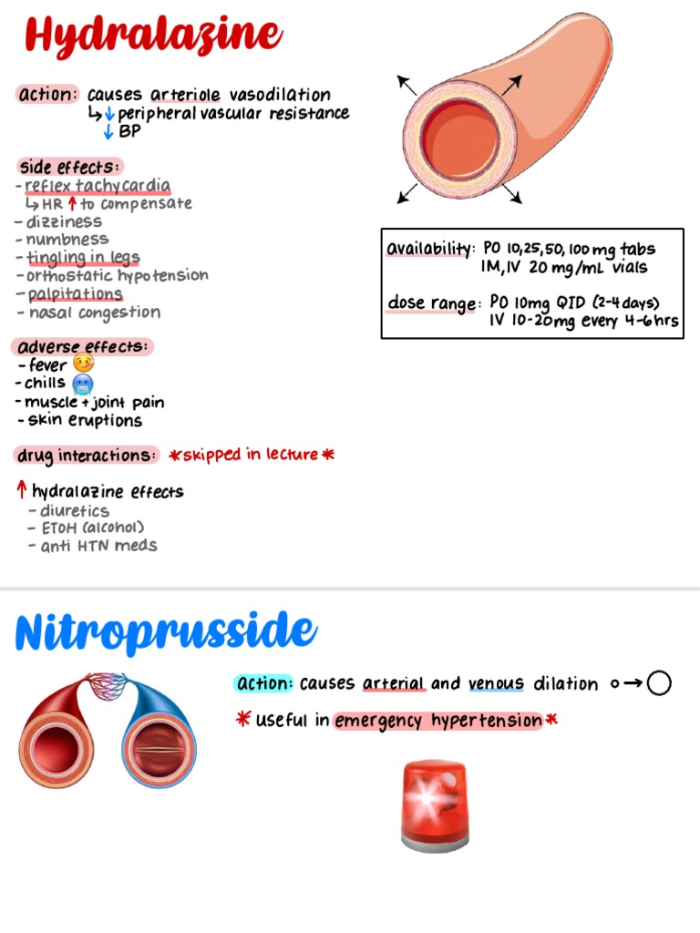Hydralazine and Nitroprusside Overview | PDF