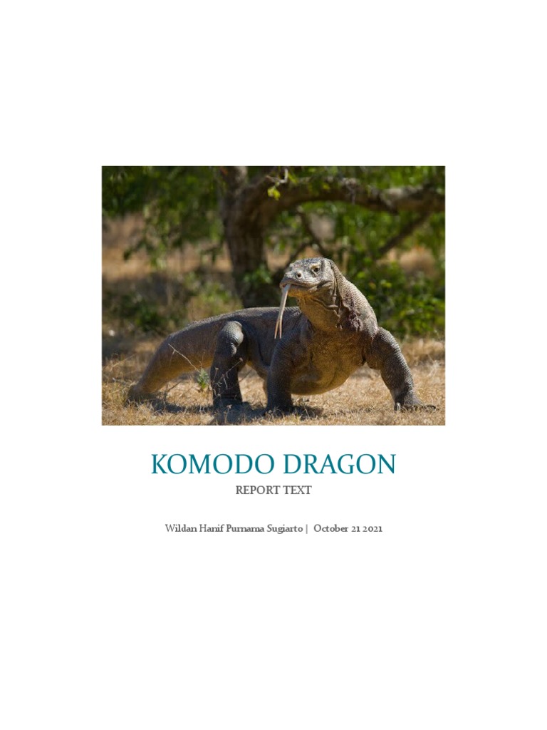 Komodo Dragon Report Text Pdf
