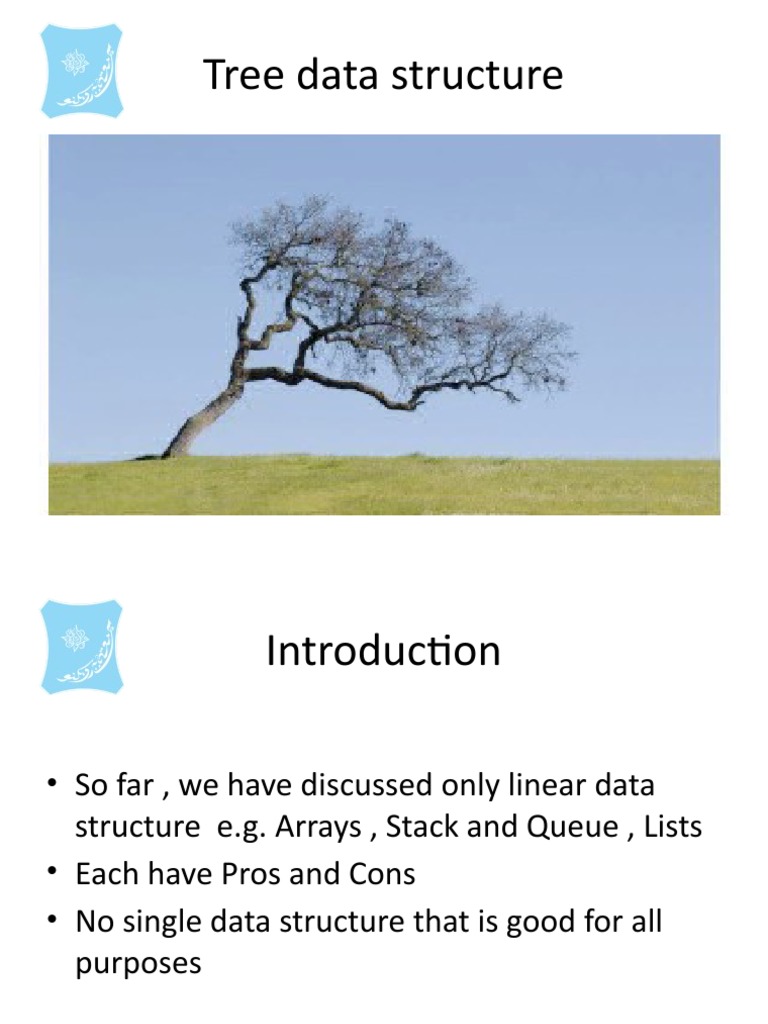 Lec6 Tree Dsa | PDF | Computer Programming | Information Technology ...