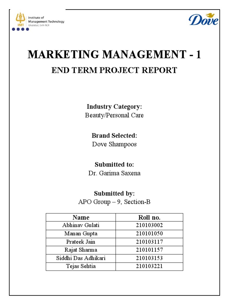 Dove Report Final | PDF | Brand | Market Segmentation